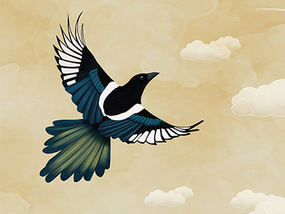 Beyond the Surface™ wallcoverings featured in showcase home